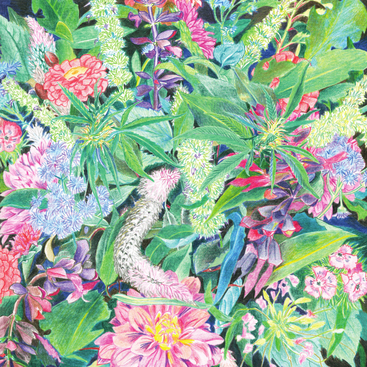 Light-Space Modulator - The Rising Wave – Sticky Black Tarmac